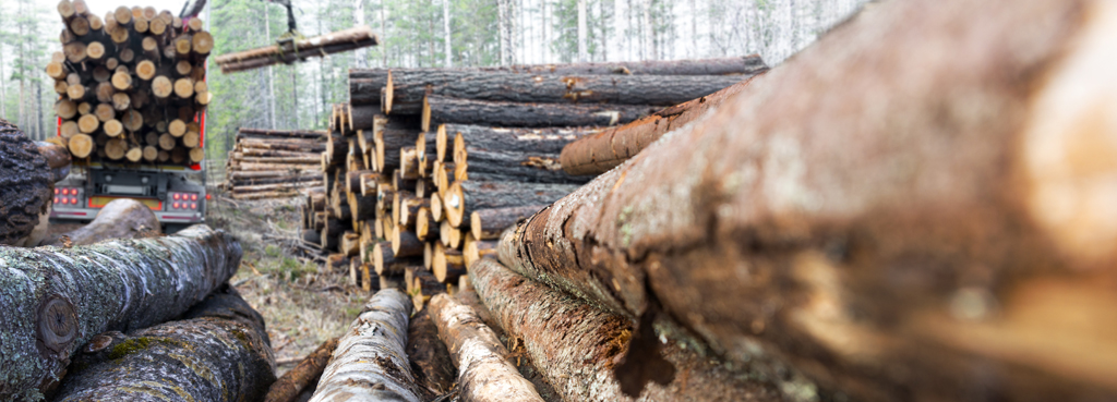 The Forestry Mutual Blog | Logging Insurance